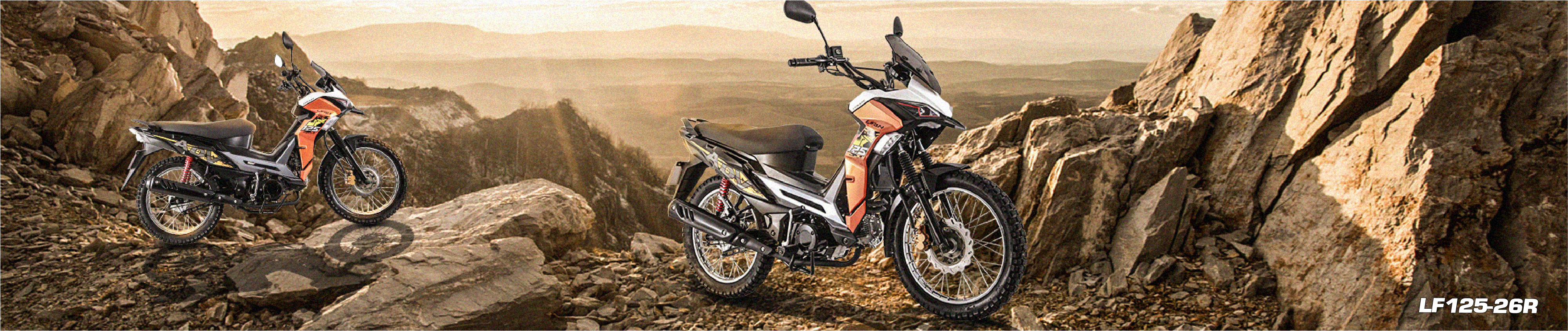 Lifan Motorcycle-力帆摩托车[官网]